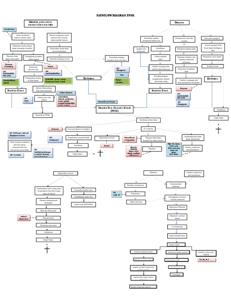 Patoflow Diagram Ppok | PDF