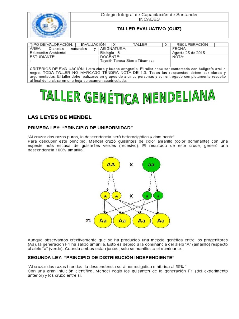 Taller Genética Mendeliana Undécimo | PDF | Dominancia (Genética ...