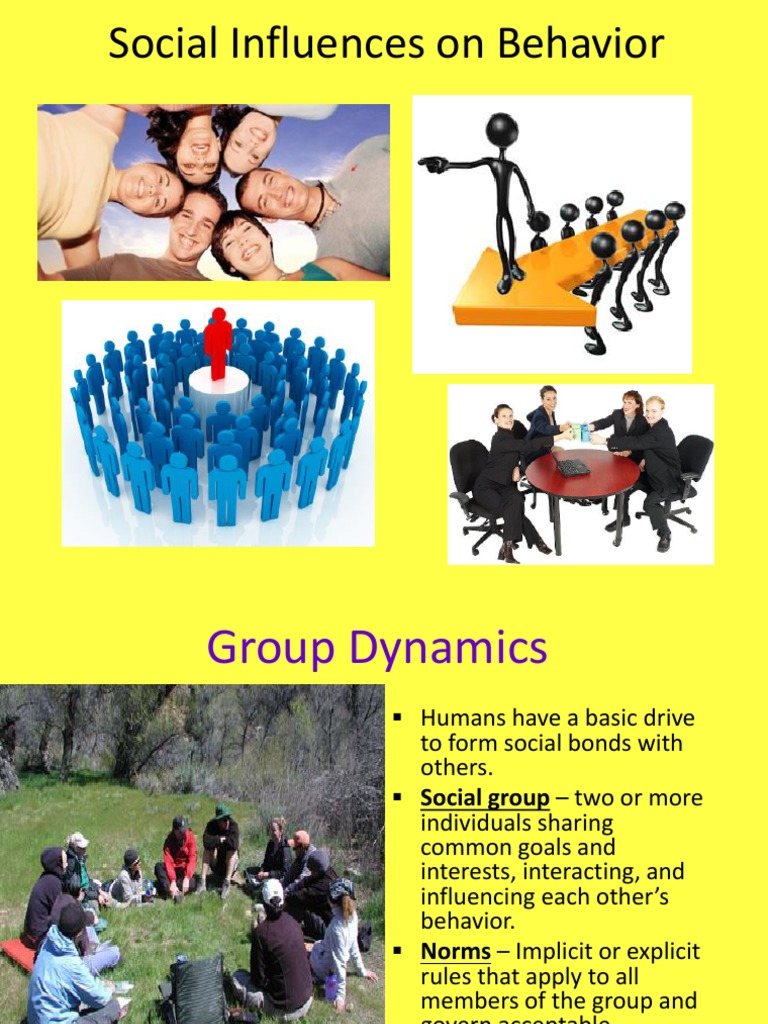 Social Influences on Group Behavior | PDF | Social Group | Behavioural ...