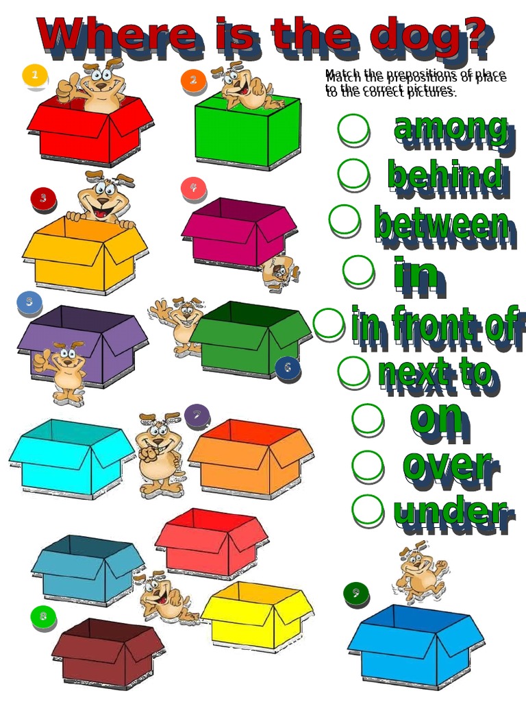 Wheres The Dog Prepositions of Place | PDF
