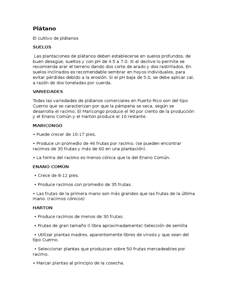 Cultivo y Procesamiento del Plátano | PDF | Nutrición | Dieta y nutrición