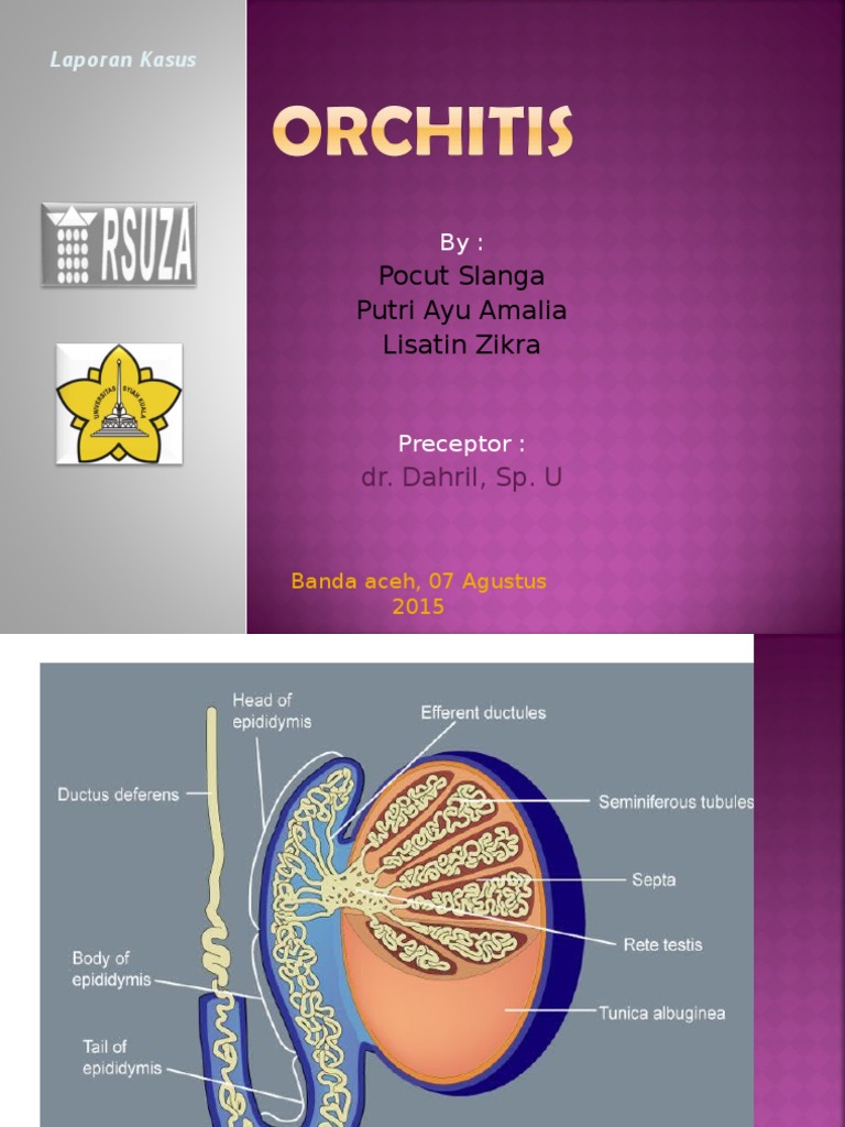 Orchitis | PDF | Kesehatan Holistik | Sains & Matematika