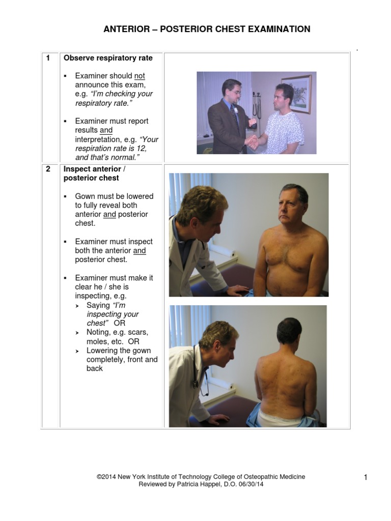 Anterior-Posterior Chest Exam Photoguide | PDF | Anatomical Terms Of ...