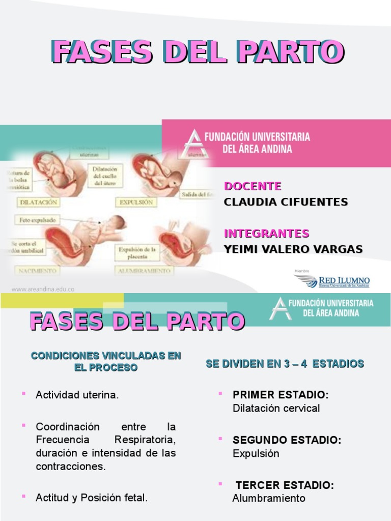 Fases Del Parto | PDF | Salud maternal | Parto