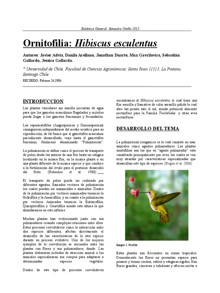Ornitofilia | PDF | Polinización | Reproducción de plantas