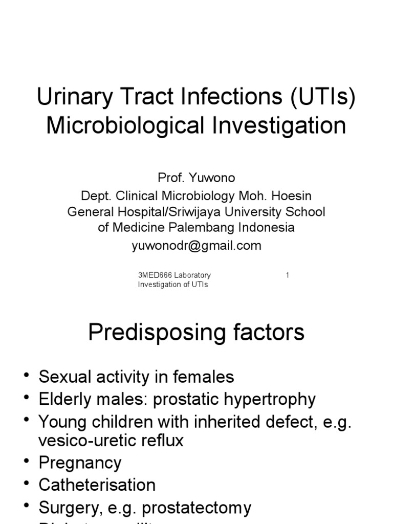 Utis Microbiological Investigation Urinary Tract Infection Clinical