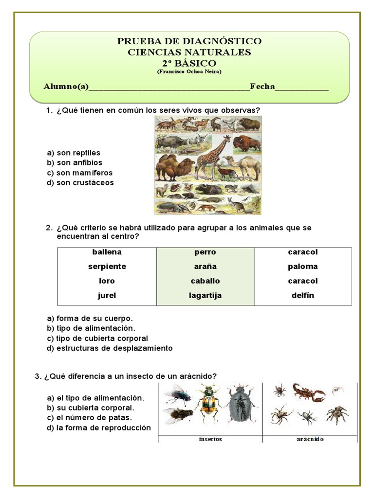 2º Básico Prueba de Diagnostico de Ciencias Naturales | PDF | Ciencia y ...