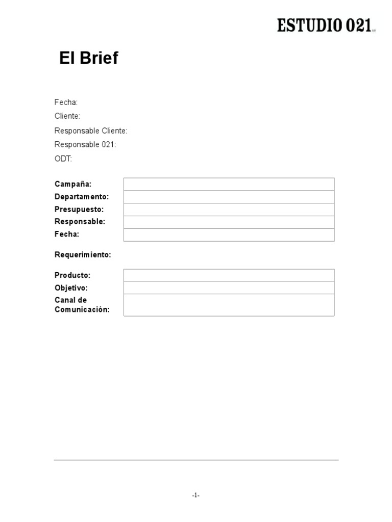 Brief Formato 021 | PDF