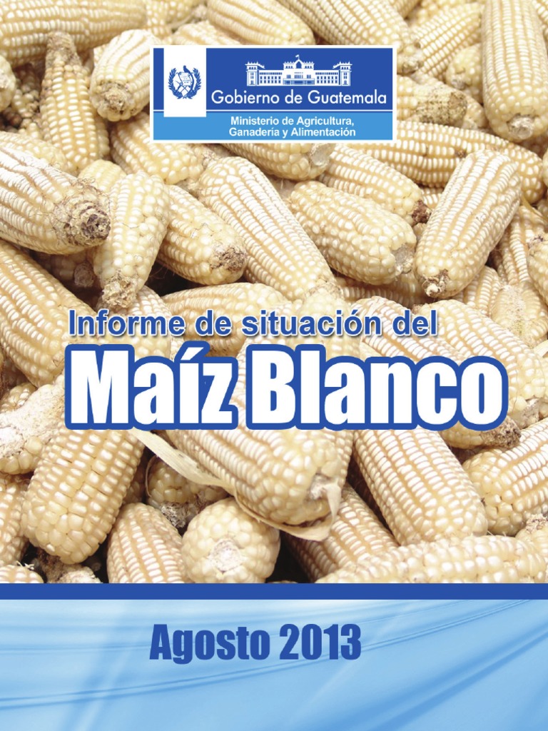 Producción y precios del maíz en Guatemala | PDF | Guatemala | Maíz