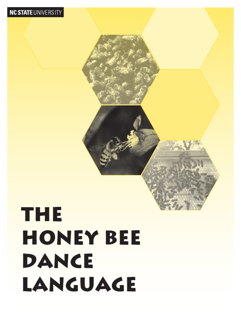 Honey Bee Dance Communication | PDF | Honey Bee | Insect Rearing