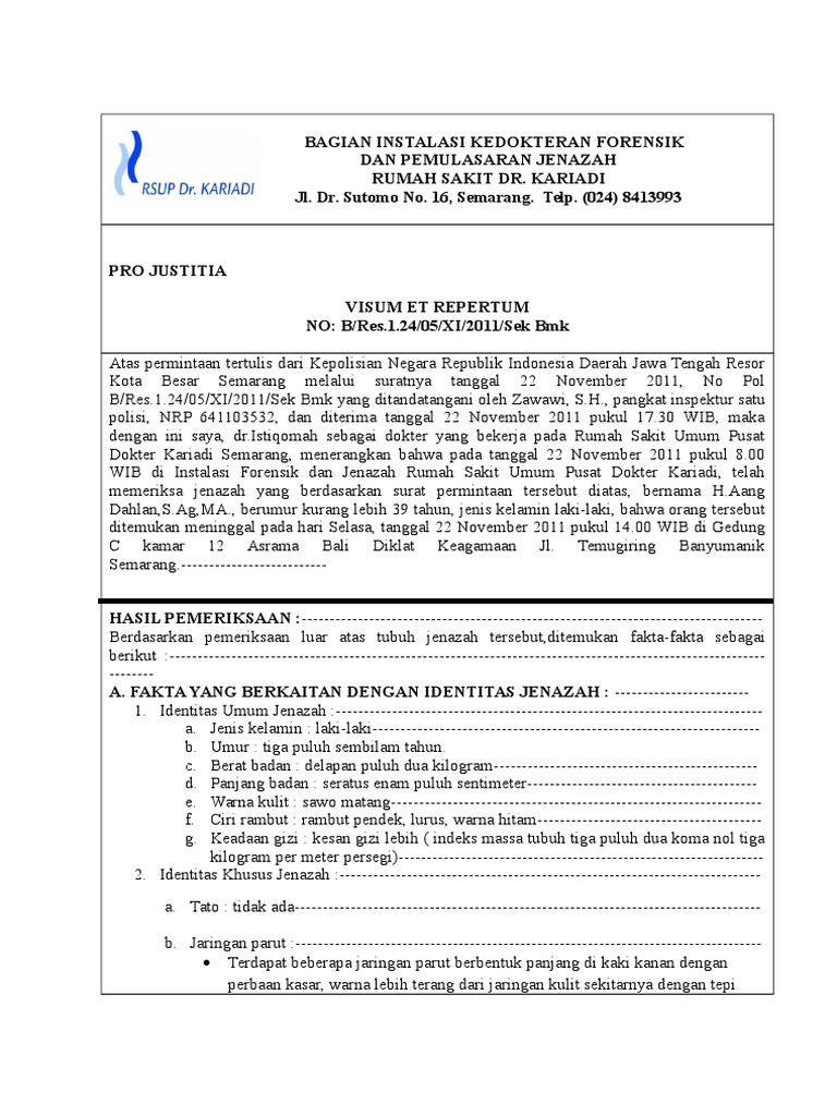 Contoh Visum Luar | PDF