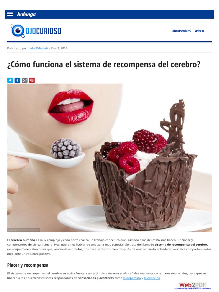 Sistema de recompensa.pdf | Dopamina | Cerebro
