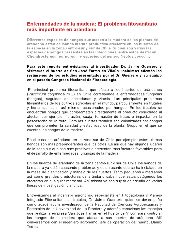 Enfermedades de La Madera | PDF | Hongo | Patologia de planta