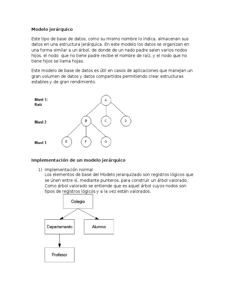 Modelo Jerárquico | PDF | Informática