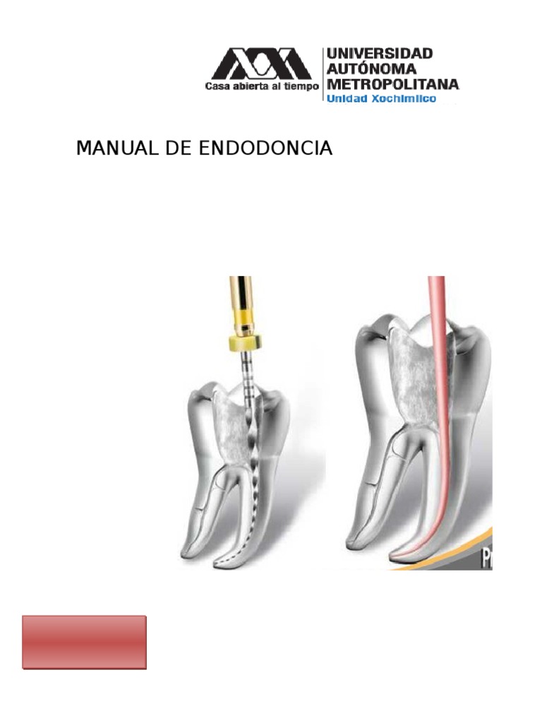 MANUAL DE ENDODONCIA | Diente humano | Medicina | Prueba gratuita de 30 ...