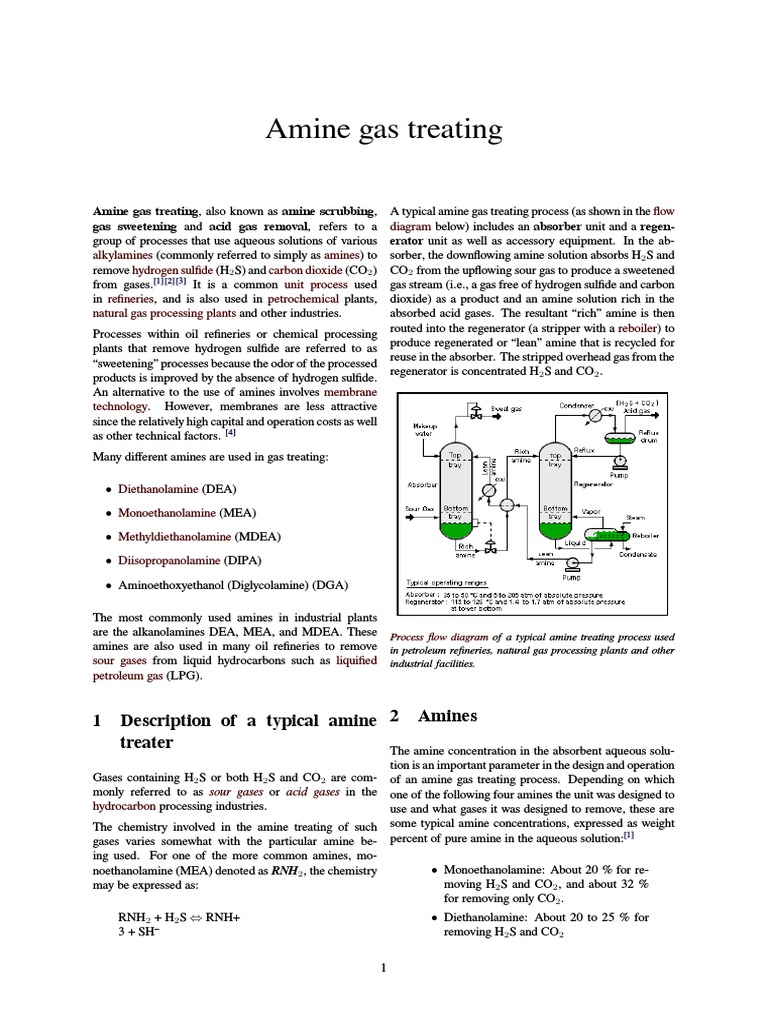 Amine Gas Treating | PDF | Fuel Gas | Chemical Compounds