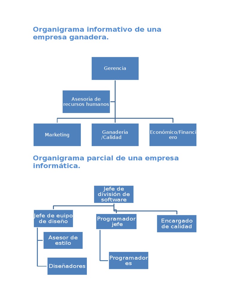 Organigrama Informativo