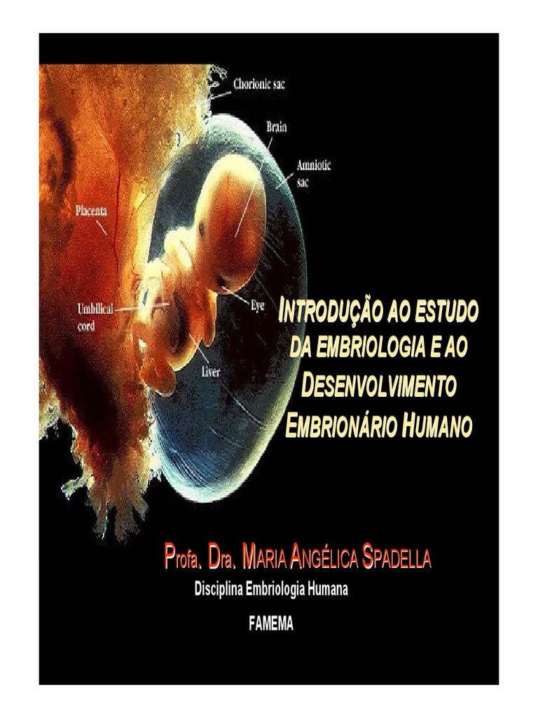 Embriologia | PDF | Placenta | Processos biológicos