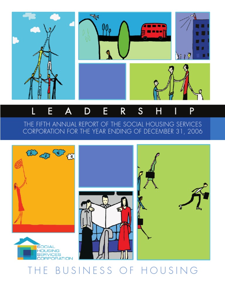 SHSC 2006 Annual Report | PDF | Audit | Revenue