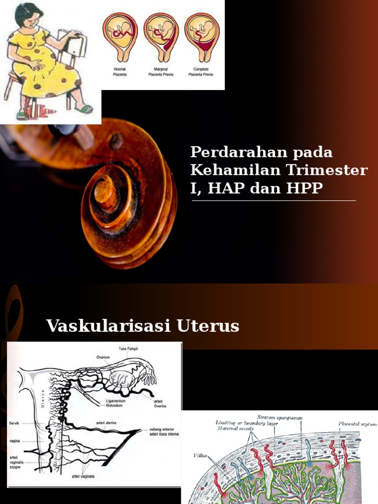 Persalinan Pada Kehamilan Trimester I, HAP Dan HPP | PDF