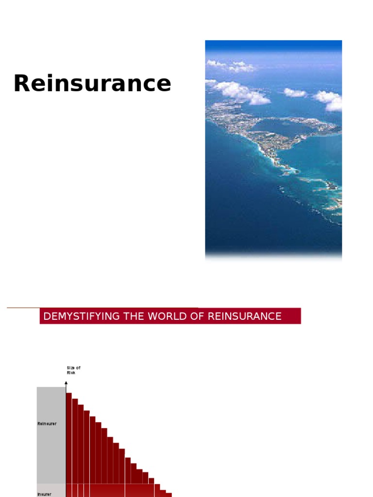 Re Insurance | PDF | Reinsurance | Underwriting
