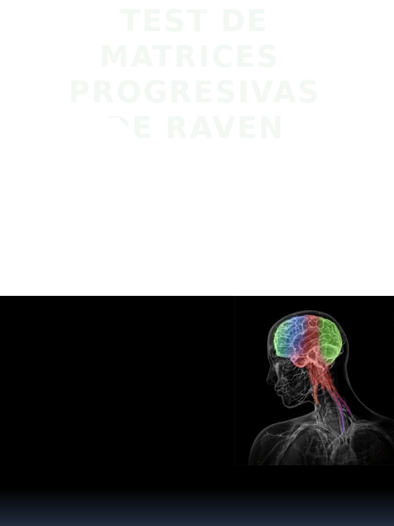 Beta III - Test Raven | PDF