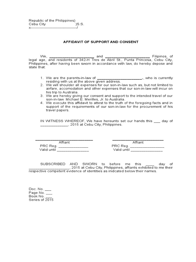 Affidavit of Support | PDF