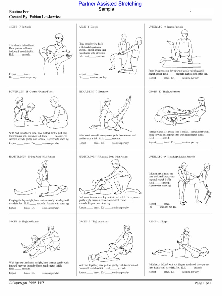 Partner Assisted Stretching | PDF