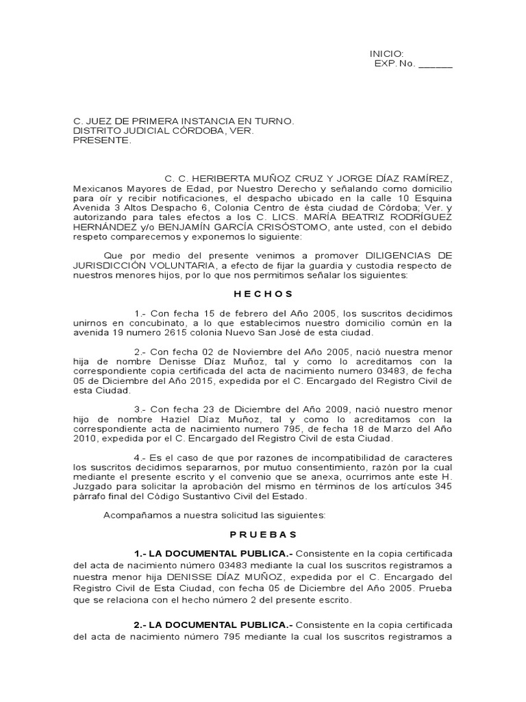 Formato De Guarda Y Custodia Certificado De Nacimiento Justicia