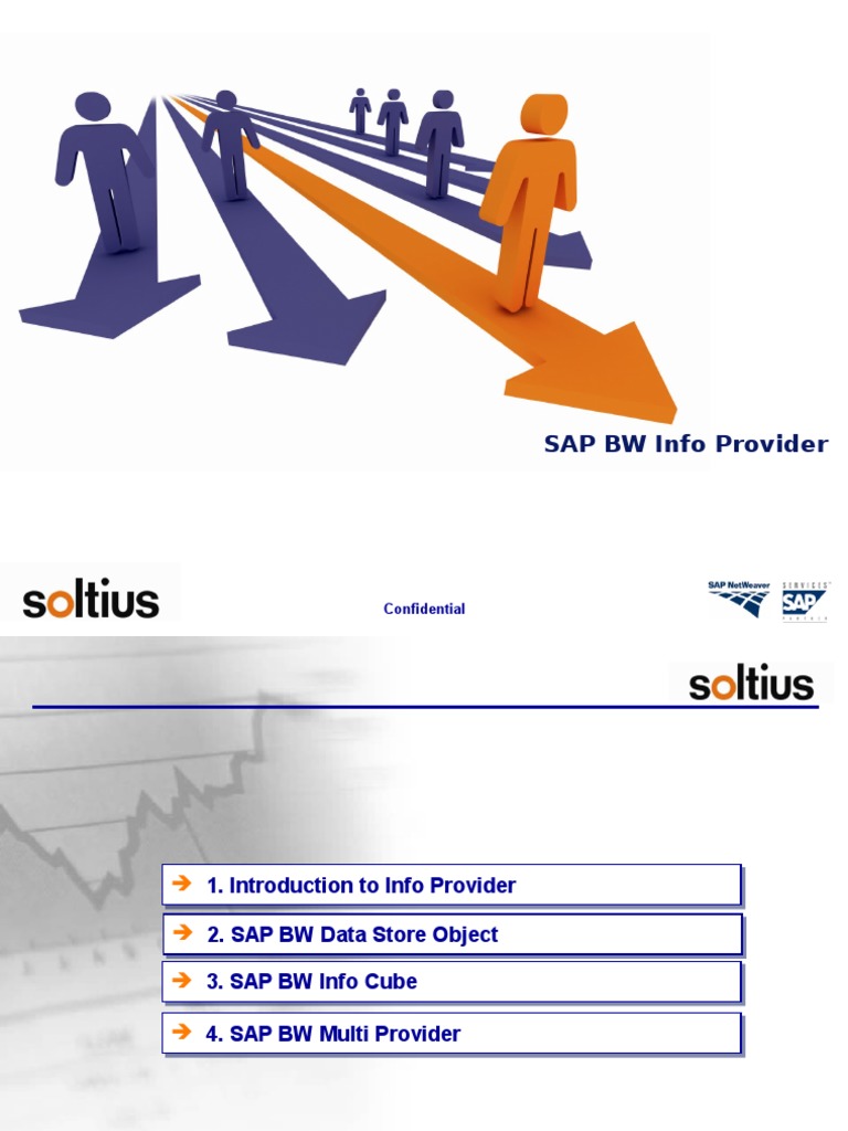 SAP BW InfoProvider Guide | PDF | Dimension | Information Retrieval