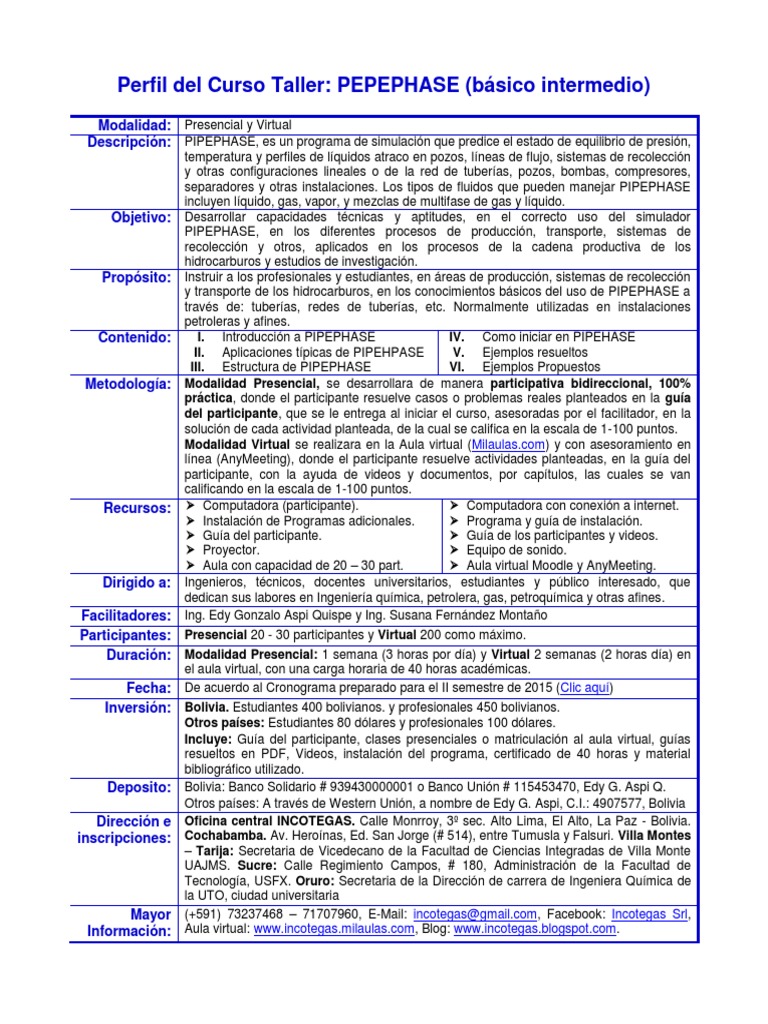 Perfil de PIPEPHASE V2 Curso - 2 | PDF | Petróleo | Líquidos
