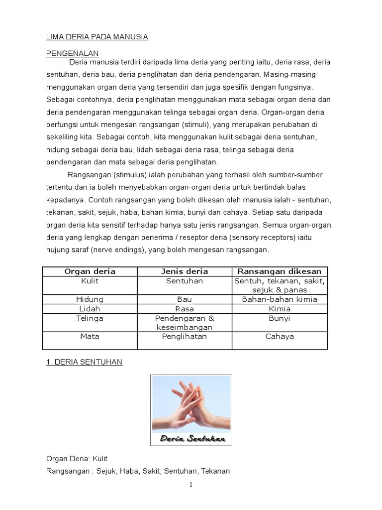 Folio Lima Deria Pada Manusia | PDF