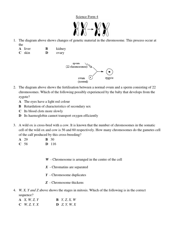 Science Form 4 (Chapter 3 & 5) | PDF | Chlorine | Carbon