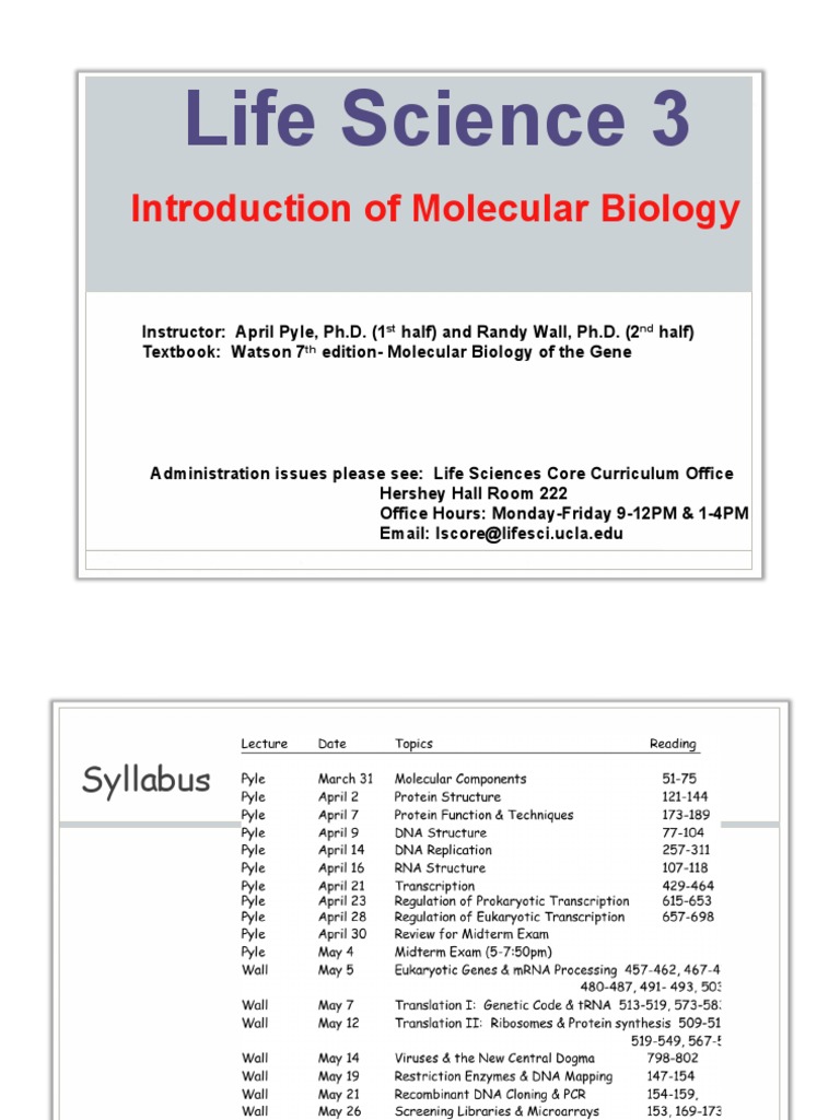 Life Science 3: Introduction of Molecular Biology | PDF ...