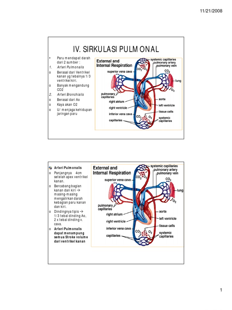 3.sirkulasi Pulmonal | PDF