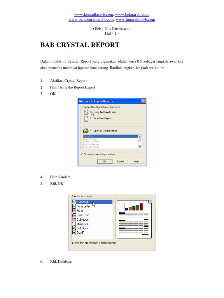 Bab 7 Membuat Laporan Crystal Report | PDF