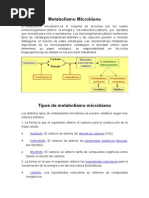 Ruta Rpbi | PDF | Residuos | Science