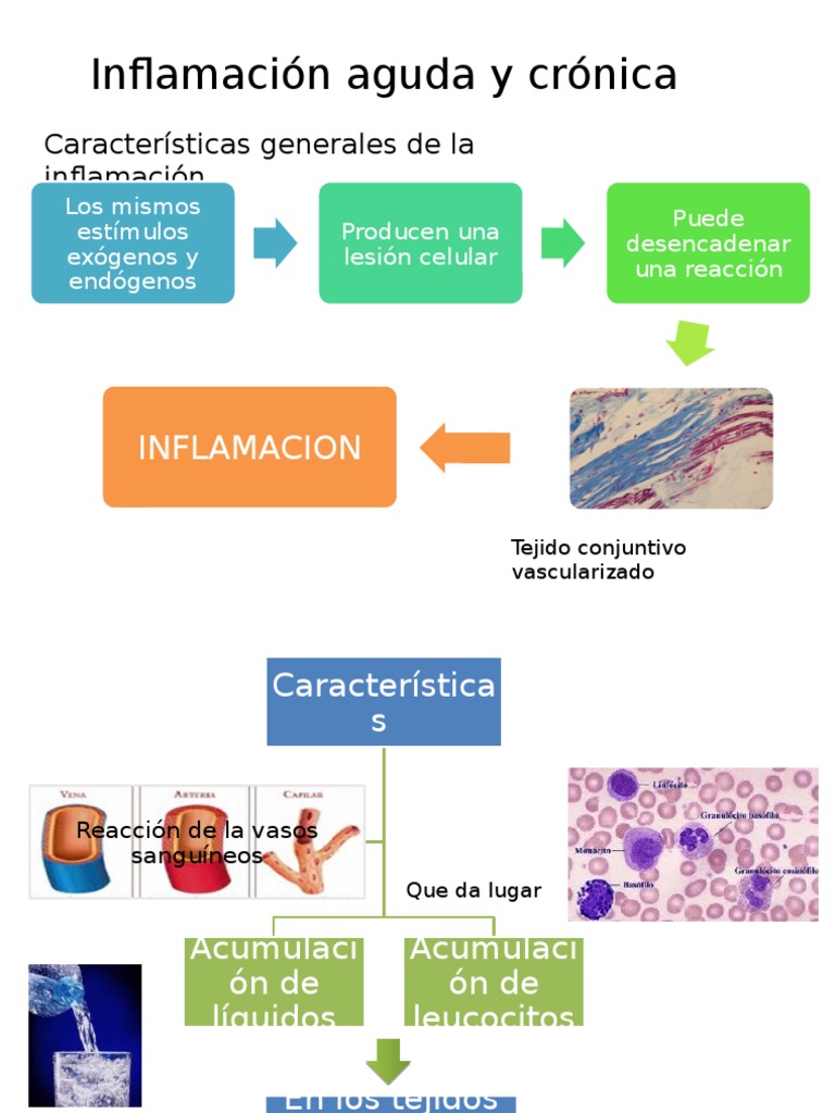 Inflamacion Aguda y Cronica | Inflamación | Edema