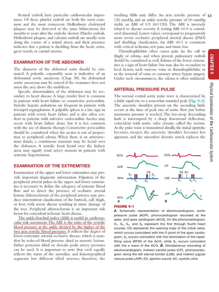 Ankle-brachial Index (ABI) | Pulse | Heart