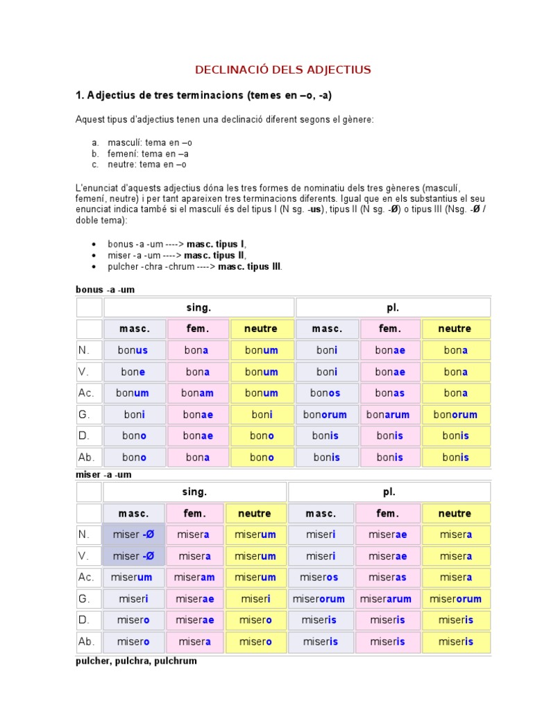 Declinació Dels Adjectius | PDF