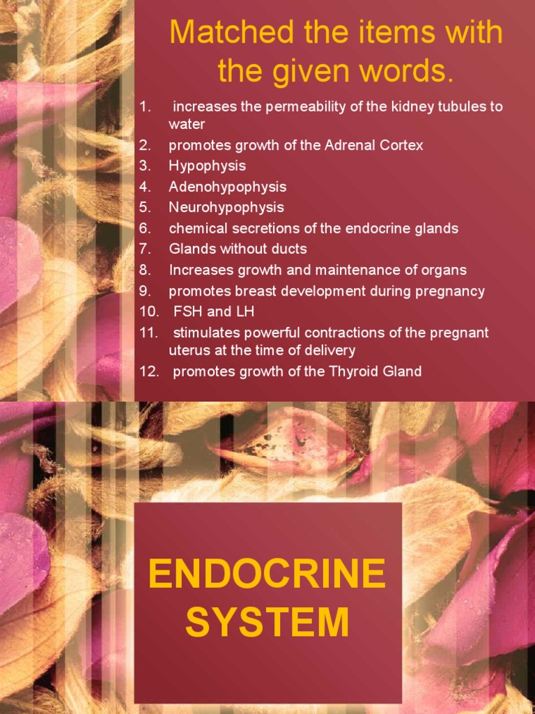 Matching Endocrine Glands and Hormones: An Analysis of the Key Components and Functions of the ...