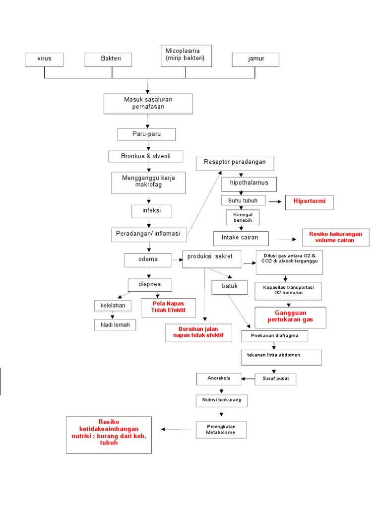Pathway Pneumonia dan Patofisiologinya | PDF