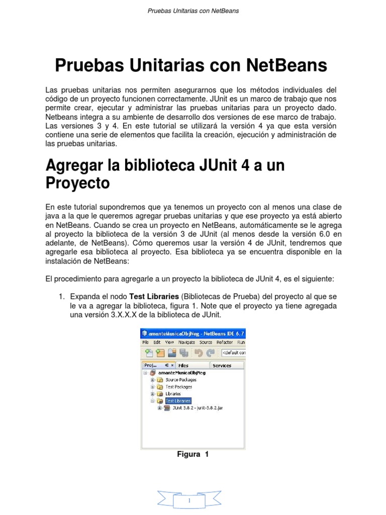 Pruebas Unitarias Con NetBeans | PDF | Frijoles Netos | Aplicaciones y software