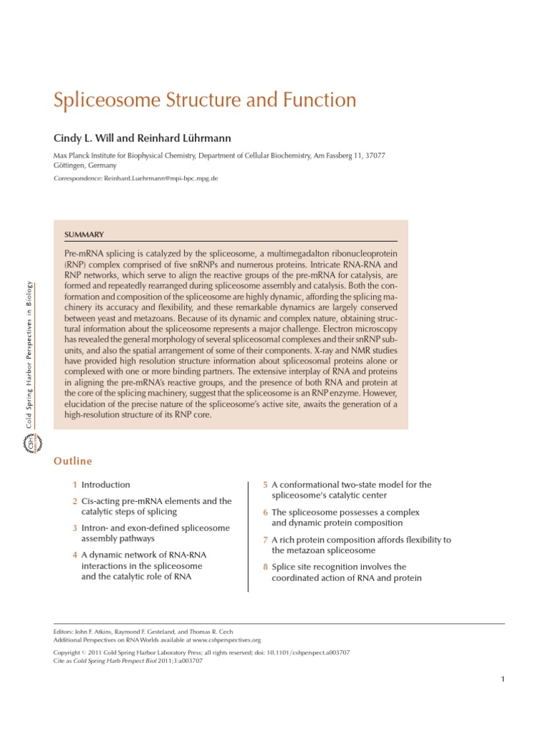Spliceosome Structure and Function.pdf | Rna Splicing | Intron