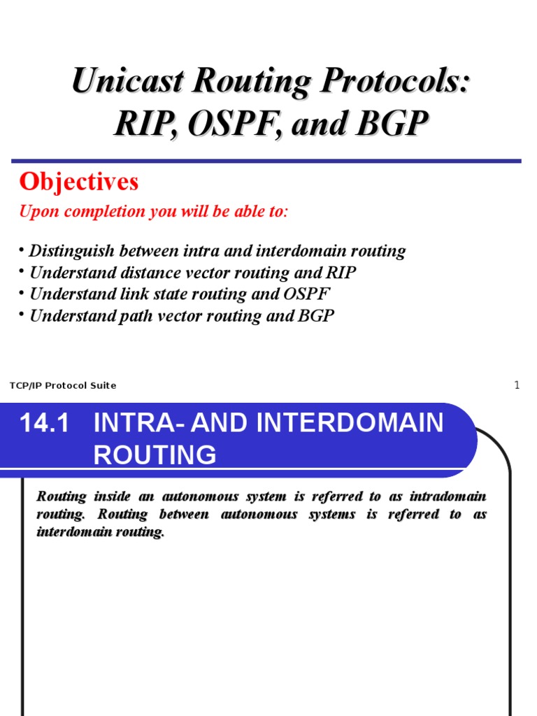 Unicast Routing Protocols Routing Computer Standards