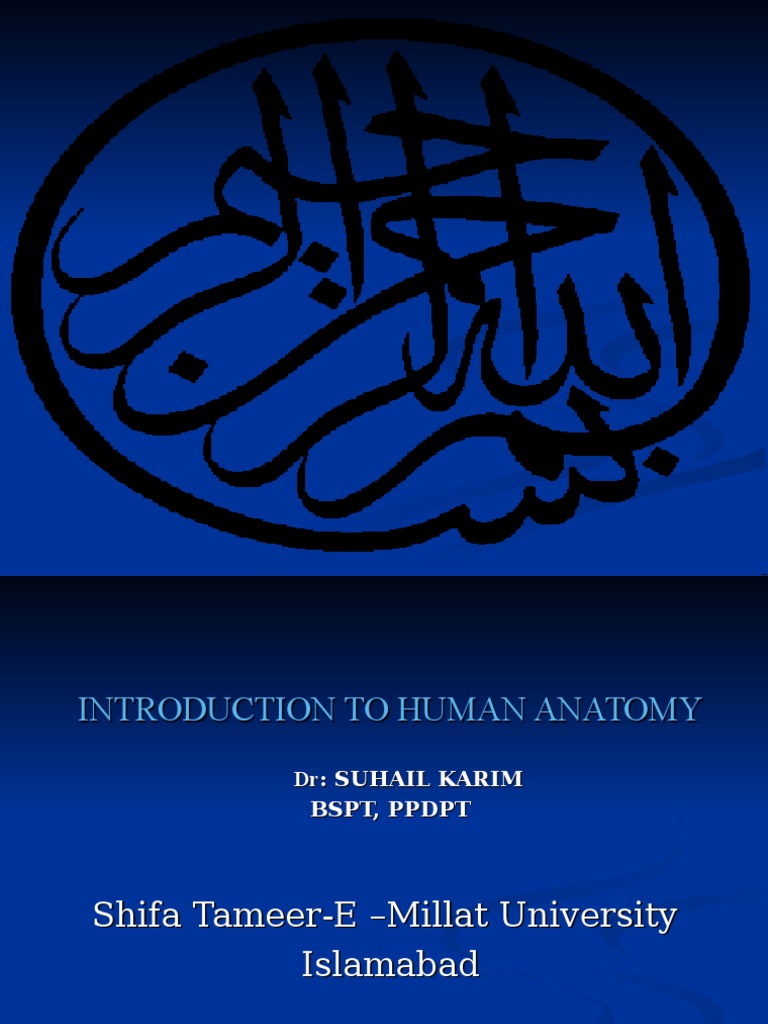 Lecture 1-Axis & Planes | PDF | Anatomical Terms Of Motion | Anatomical ...