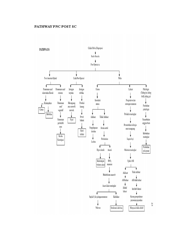 Pathway PNC Post SC | PDF