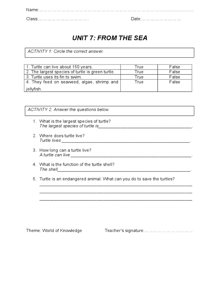 Tasksheet Turtle | PDF
