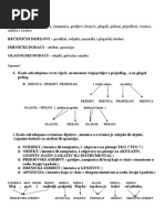 NASTAVNI LISTIĆ Gradivne I Zbirne Imenice - A | PDF