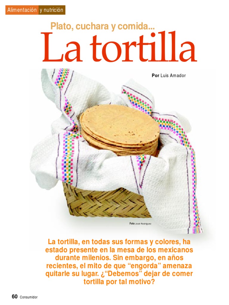 Tortillas Dic05 | PDF | Maíz | Alimentos